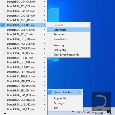 Install And Connect OpenVPN On Windows Docs DWV