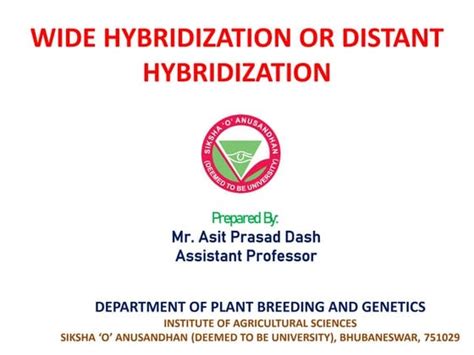 Hybridization Techniques In Crop Improvement Ppt