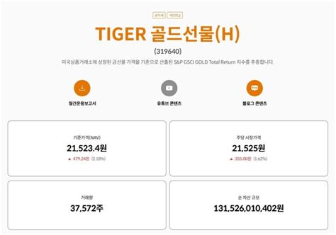 금 투자 Etf 완전 정복 2025년 국내외 대표 종목 비교 Pmstoryhub