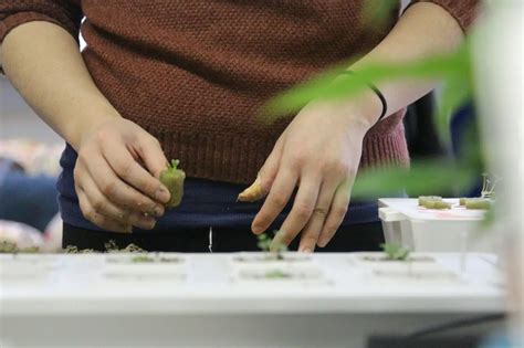 Hydroponics For Beginners Grow Seedlings Simple And Effectively Aquagaea