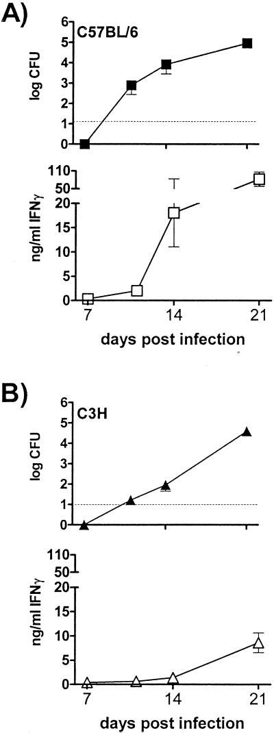 Dissemination Of Mycobacterium Tuberculosis Is Influenced By Host Factors And Precedes The