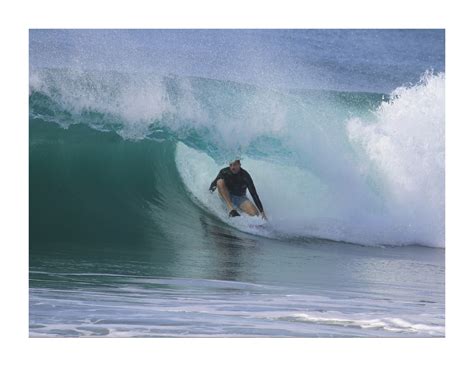 Roach Dk Model Wreath Brand®