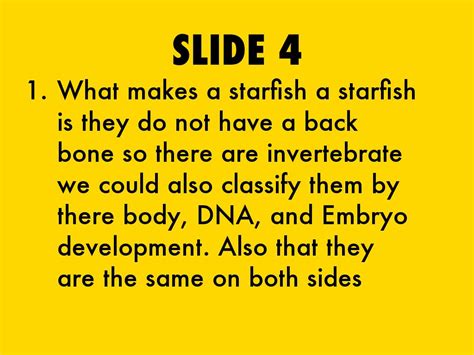 Animals Classification By Kayden Klein