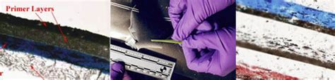 American Society Of Trace Evidence Examiners