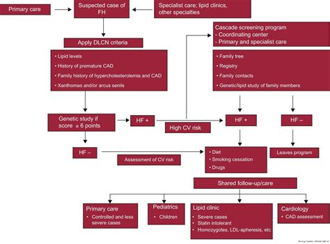 Screening For Familial Hypercholesterolemia A Model For Preventive Medicine Revista Española
