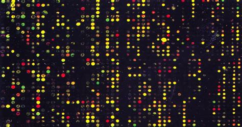 158 Genetic Markers And Microarrays Biology Notes For A Level