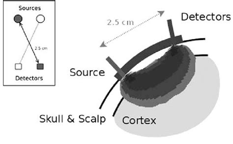 Right Schematic Of The Source Detector Separation Of The Optical Download Scientific Diagram