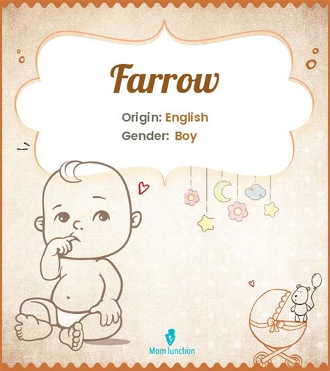 Farrow Name Meaning Origin History And Popularity