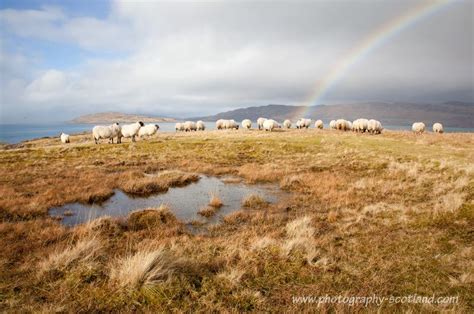 Derek Beattie Photography Derek Beattie Photography