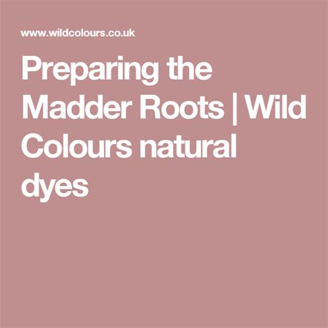 Preparing The Madder Roots Wild Colours Natural Dyes Natural Dyes