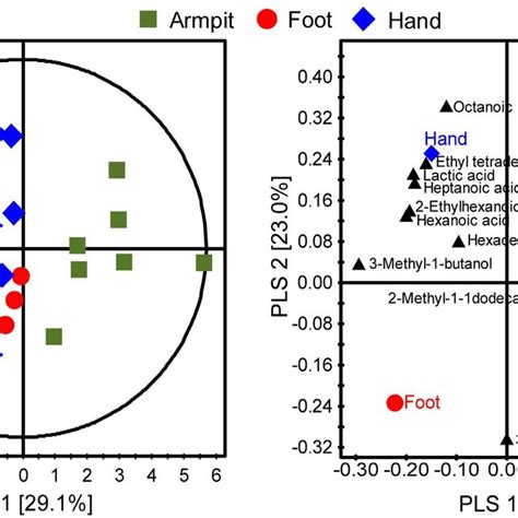 Projection To Latent Structures Discriminant Analysis Pls Da Score Download Scientific