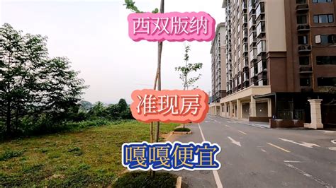 东北人在西双版纳买房安家，夏天热不热能呆么？亲身体会告诉你！ Youtube