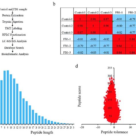 Experimental Strategy For The Quantitative Proteome Analysis And The Download Scientific