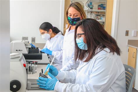 Phrma Foundation Awards 19m In 2024 Drug Discovery And Delivery