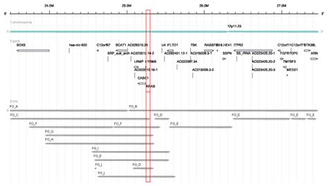 Annotated Genes And Segment Data Obtained From Different Array Cgh