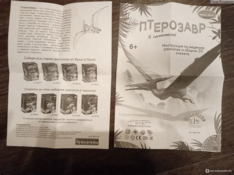 Bondibon Набор палеонтолога Птерозавр - «Наши любимые раскопки ...