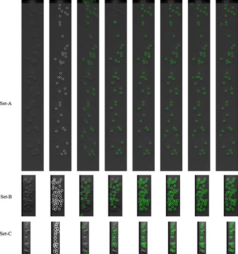 Examples Of Particle Detection Results On Three Datasets From Left To