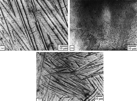 Optical Micrograph Obtained From Alloy C Showing A Favorably