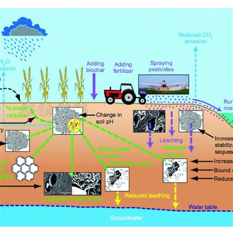 The Multitude Of Benefits Biochar Soil Amendment Provides Adapted