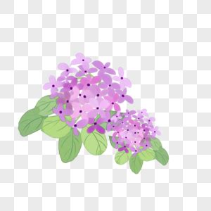 手繪清新繡球花矢量素材PNG圖案素材免費下載圖片尺寸1200 1000px Lovepik