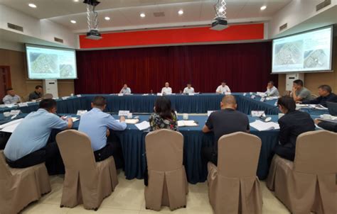 我区召开2020年第9次土规会新都区
