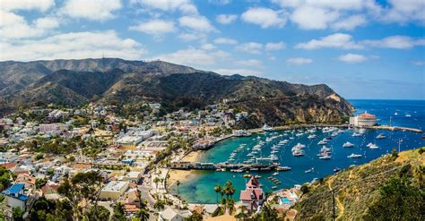 12 Facts About Catalina Island That Will Surprise You