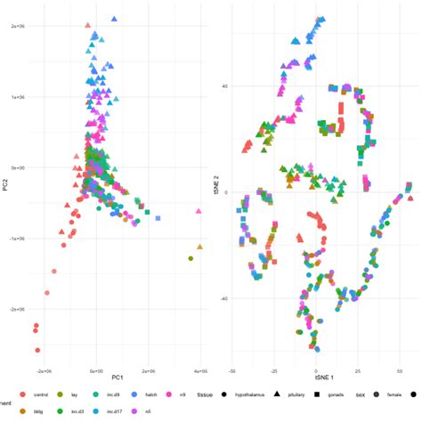 Pca Showing The Relationship Between Sex Treatment Tissue · Issue 4