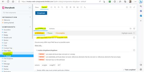 Bug Dropdown Canvas Section Under Accessibility Sections 2 Violations Is Displayed