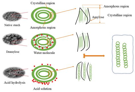 Spotlight On The Multiscale Structural And Physicochemical Properties