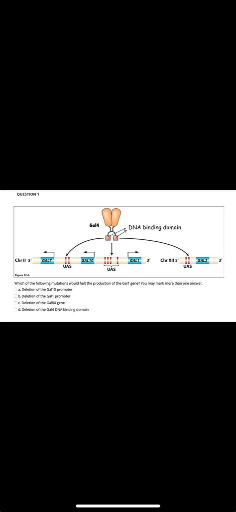 Solved Question 1 Gal4 Dna Binding Domain 3 Chr Ii 5 Galz