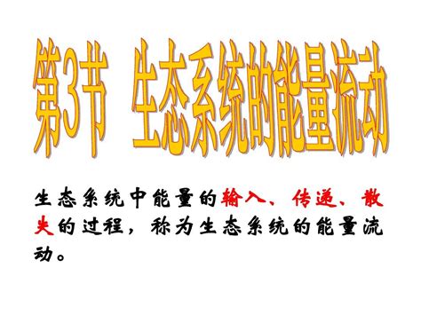 生态系统的能量流动 一轮复习 Word文档在线阅读与下载 无忧文档