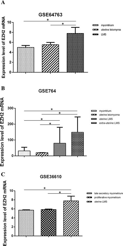The Expression Of Ezh2 Mrna In Human Lms Uterine Leiomyoma And Download Scientific Diagram