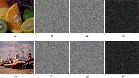 Key Sensitivity Analysis Images A Original “fruit” Image B