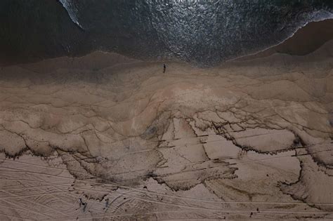 Marea Nera Di Petrolio In Mare Disastro Ecologico In California