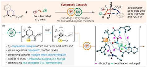 四川大学王天利课题组angew：手性肽季鏻盐 Lewis酸金属协同催化构建手性n 杂[3 2 1]桥环骨架 X Mol资讯