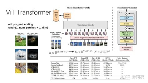 Vision Transformer 知乎