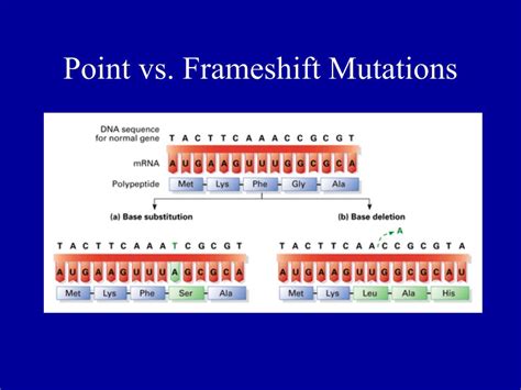 Ppt 111 Genes Are Made Of Dna Powerpoint Presentation Free Download