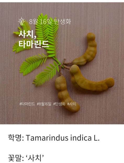 한국야생식물연구회 Band