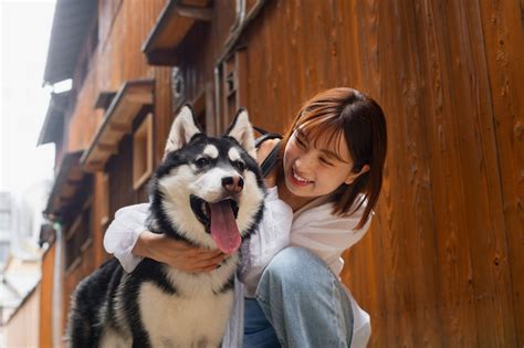 여자와 개 사진 무료 고품질 사진 다운로드 Freepik