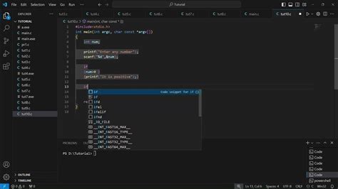 How To Write A Code To Check Weather The Given Number Is Postive