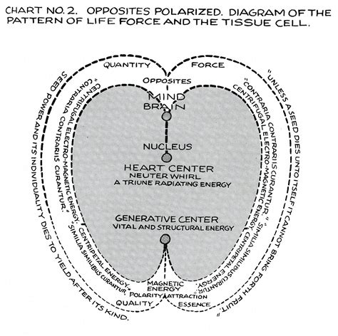 Polarity Therapy Volume 1 Book 3 Chart 02