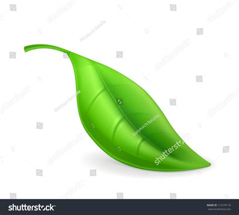 Leaf Icon Bitmap Copy Stock Illustration 112279118 Shutterstock