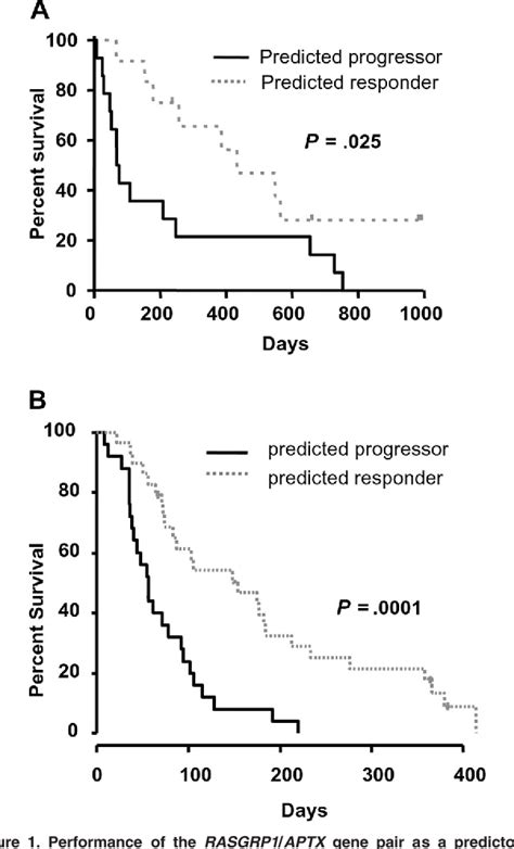 Tipifarnib Semantic Scholar