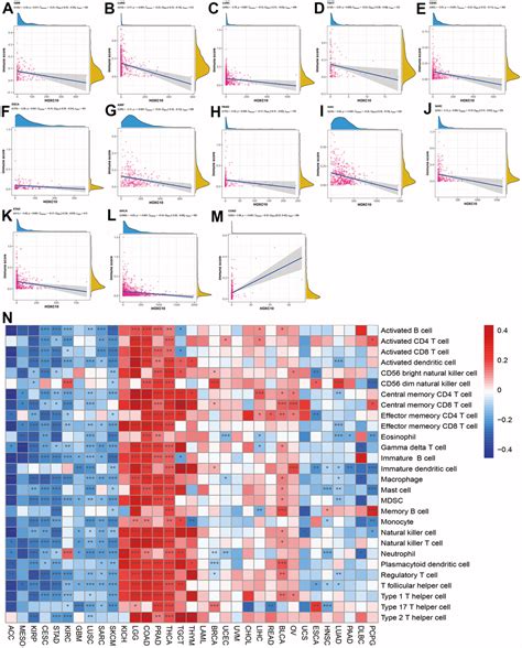 Pan Cancer Analysis Of Homeodomain Containing Gene C10 And Its