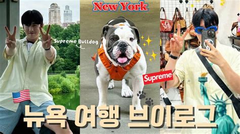 🇺🇸 미친 J의 겁나 알찬 뉴욕 종횡무진 여행 브루클린 윌리엄스버그 카페 쇼핑 추천 코스 센트럴파크 인생샷 스팟 📸
