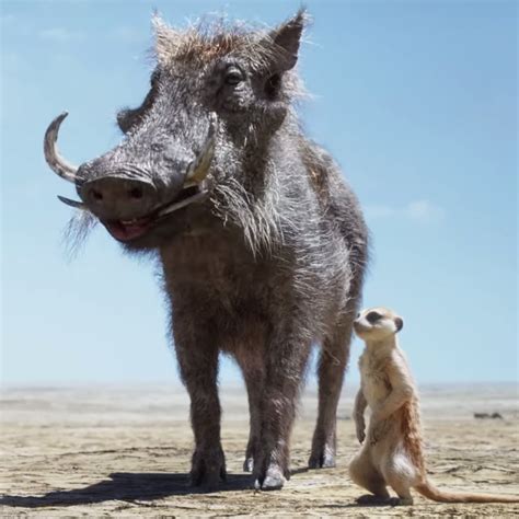 Timon And Pumbaa Real