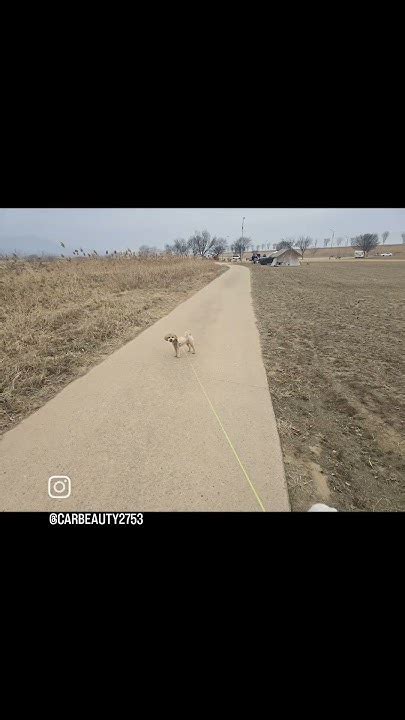 의성 위천생태하천 노지 캠핑 차박 동계캠핑 대구 차박 에어로타운 버스모터홈 애견캠핑 카뷰티 Youtube