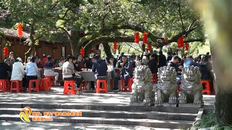 状元揭晓！〉2023天心武夷正岩核心村民间斗茶节圆满落幕