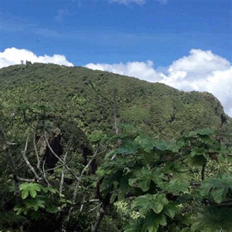 🌜🌞🌛 El Yunque