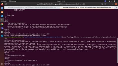Facing Problem While Sending An Image · Issue 2540 · Quic Goquic Go